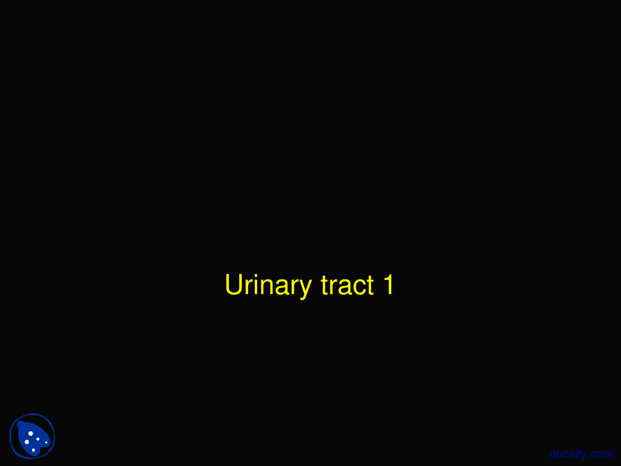 Urinary Tract Radiology Lab Lecture Slides Docsity