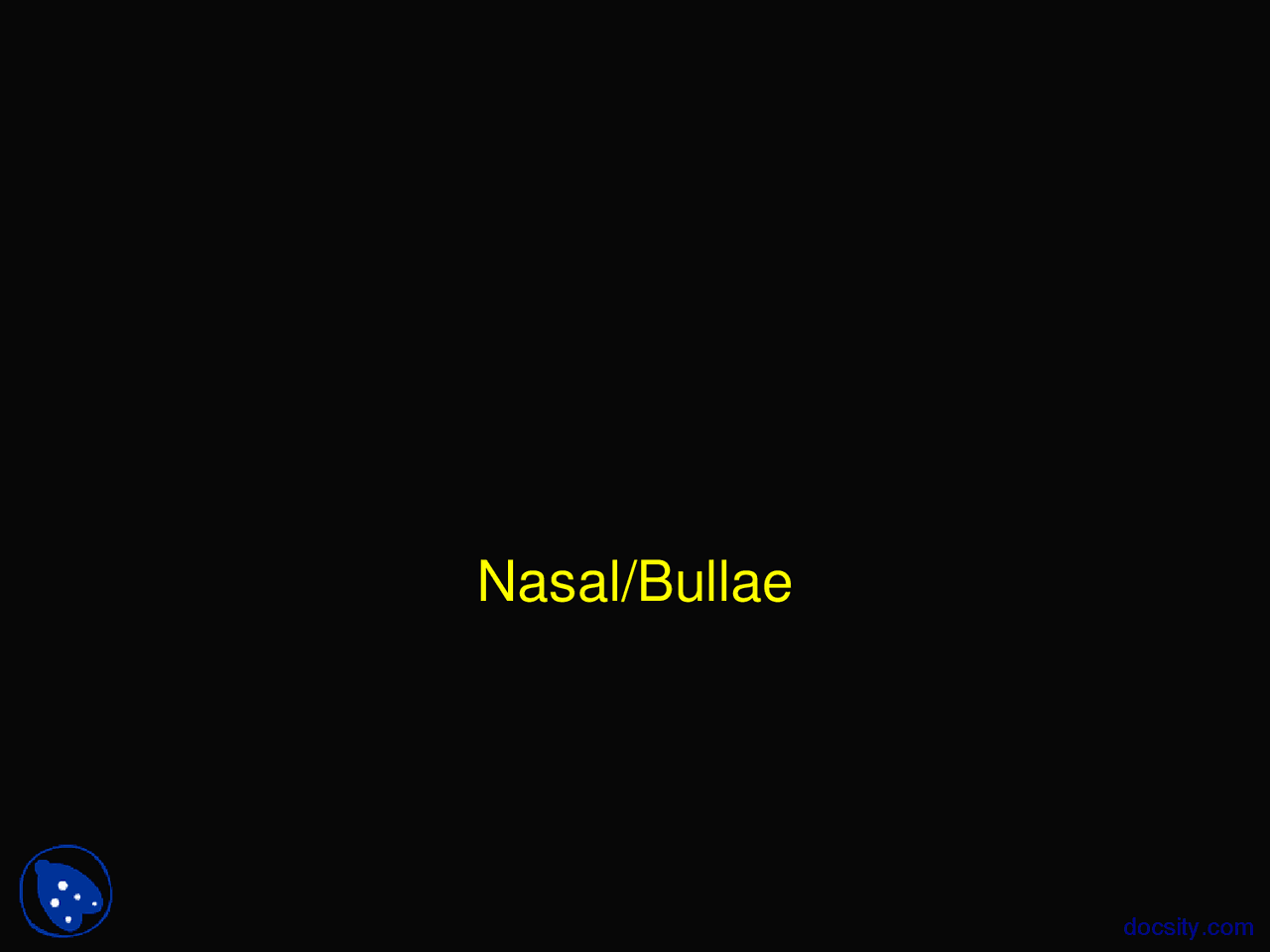Nasal Radiology Lab Lecture Slides Docsity