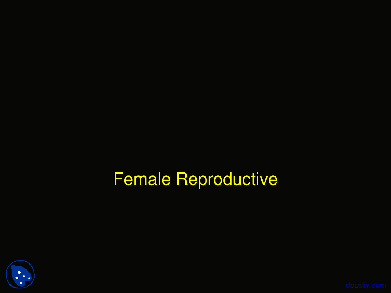 Female Reproductive Radiology Lab Lecture Slides Docsity