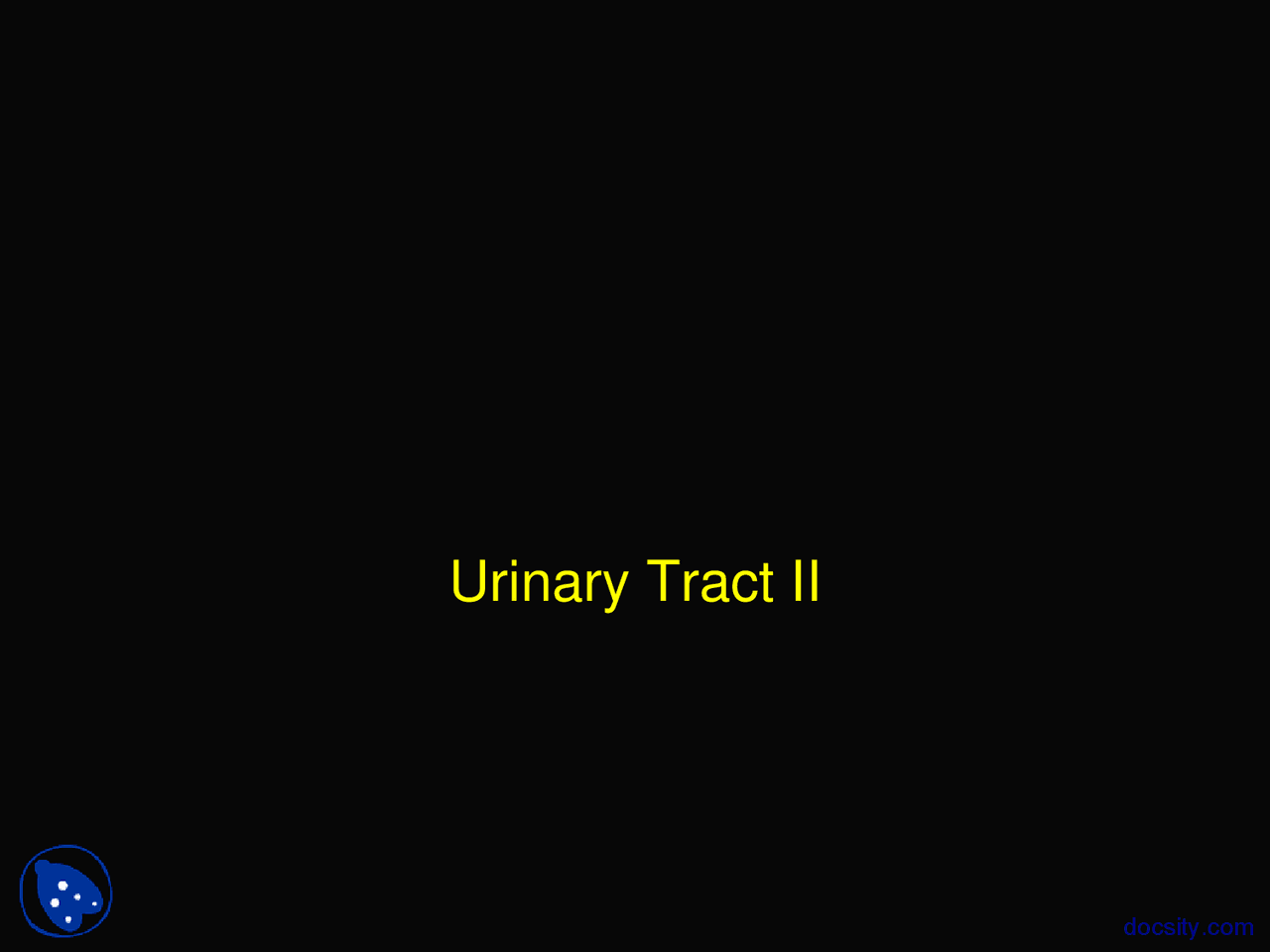 Urinary Tract Ii Radiology Lab Lecture Slides Docsity