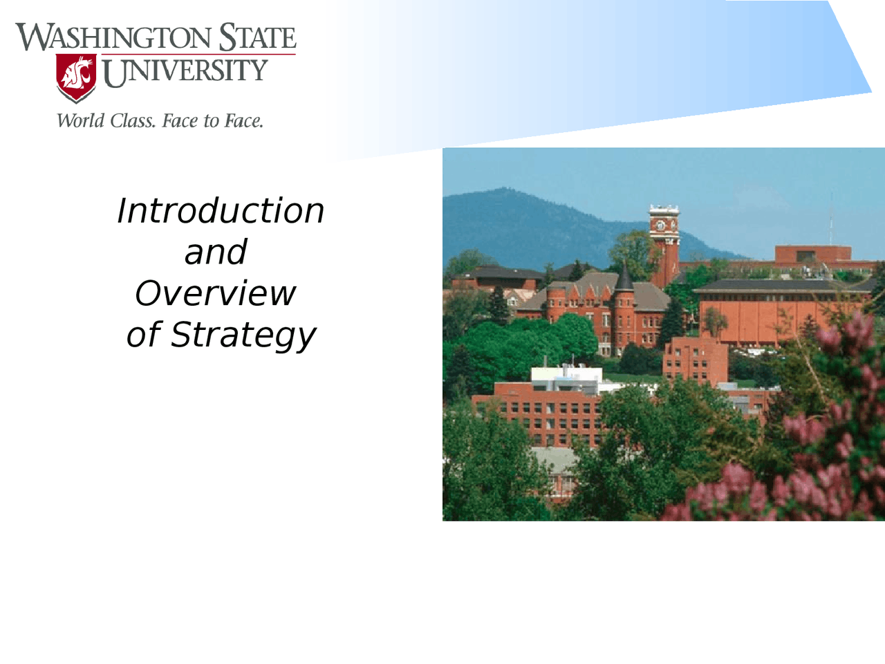 Introduction And Overview Of Strategy Lecture Notes Mktg 368 Docsity