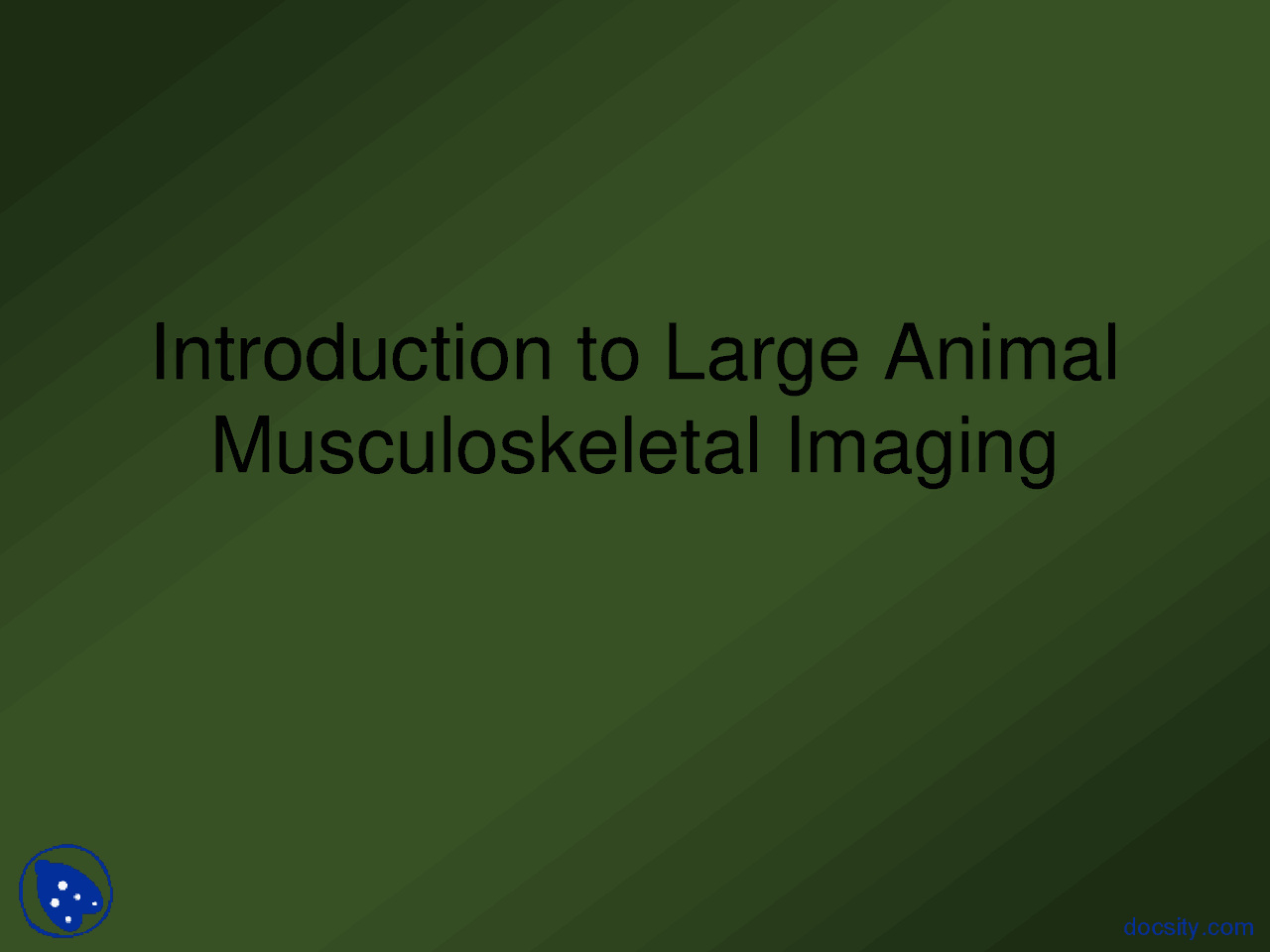 Large Animal - Radiology - Lecture Slides | Diapositivas Radiología ...
