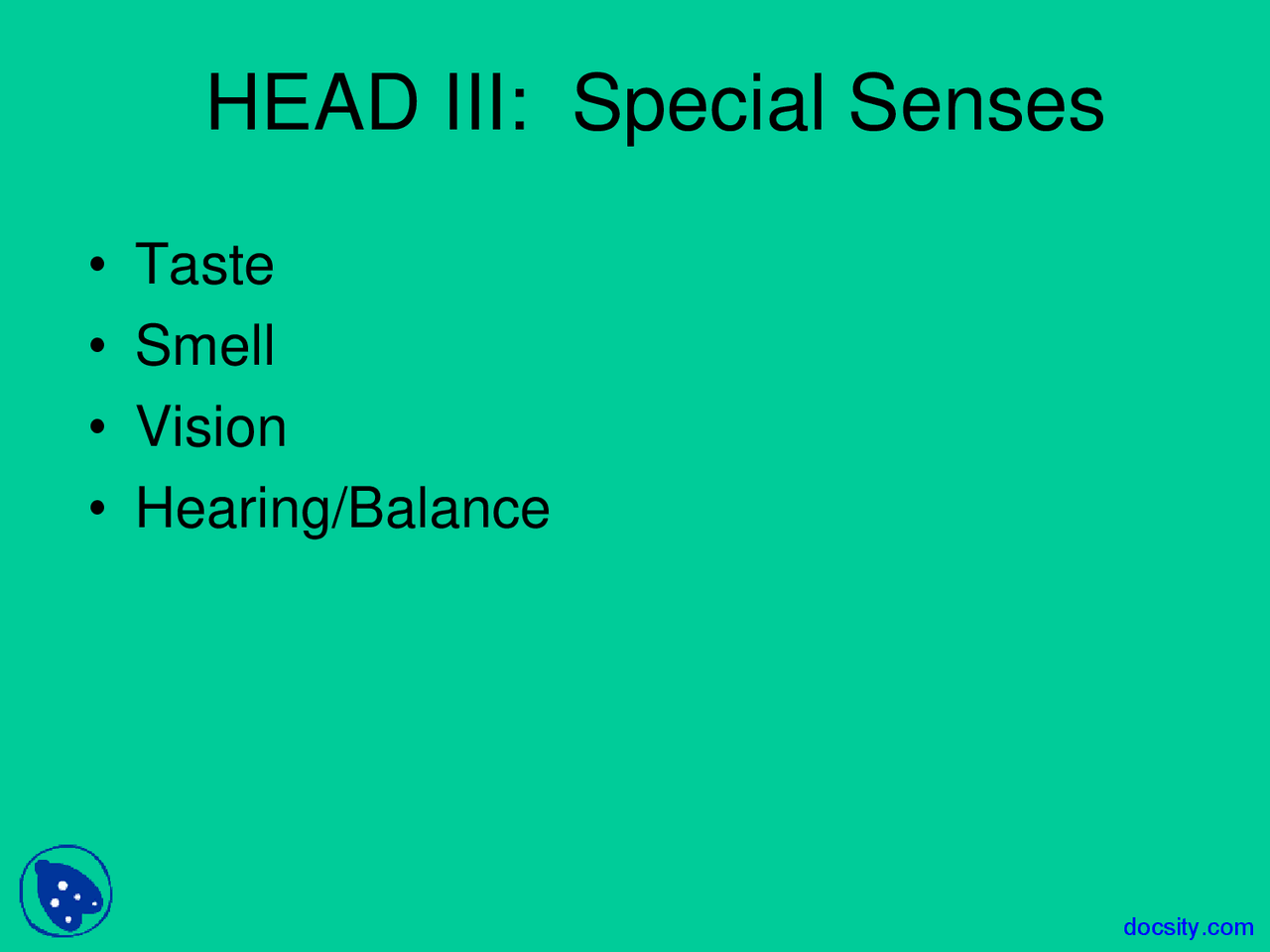 Special Senses Basic Human Anatomy Lecture Slides Docsity