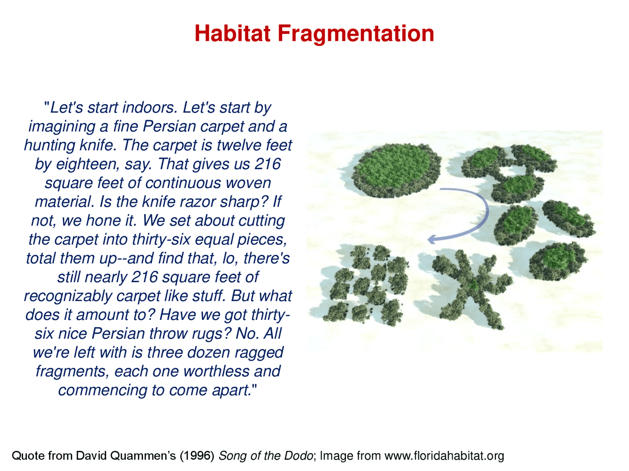 Habitat Fragmentation Conservation Biology Lecture Slides Slides