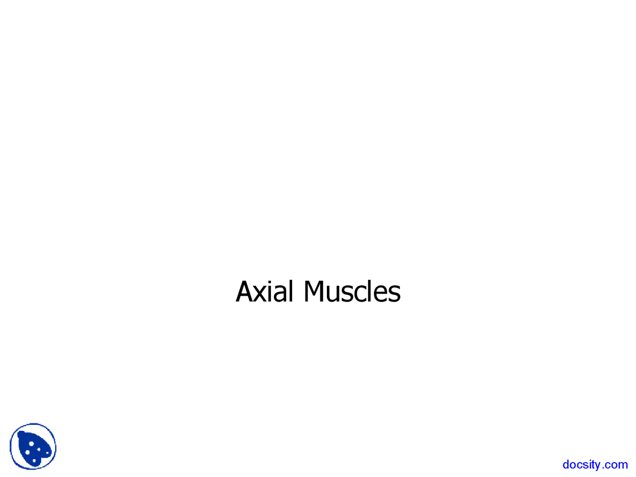 Axial Muscles - Basic Human Anatomy - Lecture Slides - Docsity