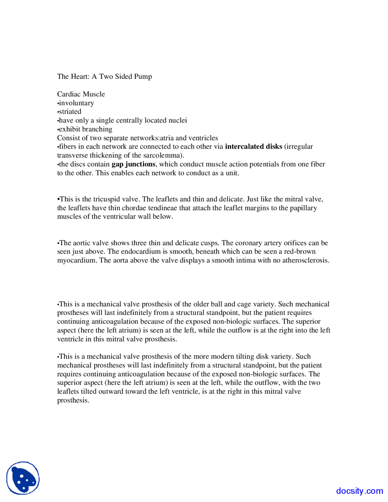 Cardiovascular Human Body Anatomy Lecture Notes Docsity