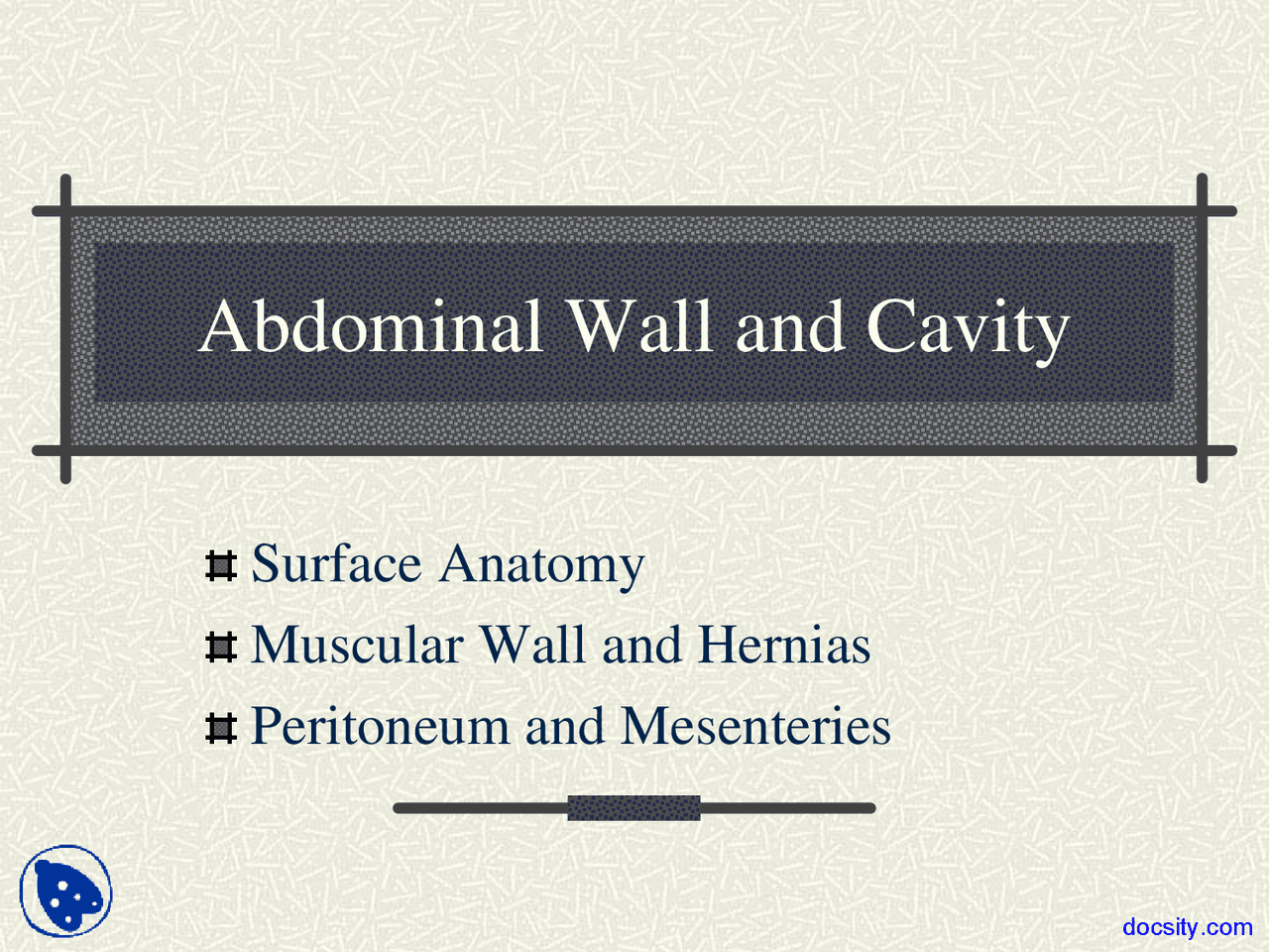 Abdominal Wall - Basic Human Anatomy - Lecture Slides - Docsity