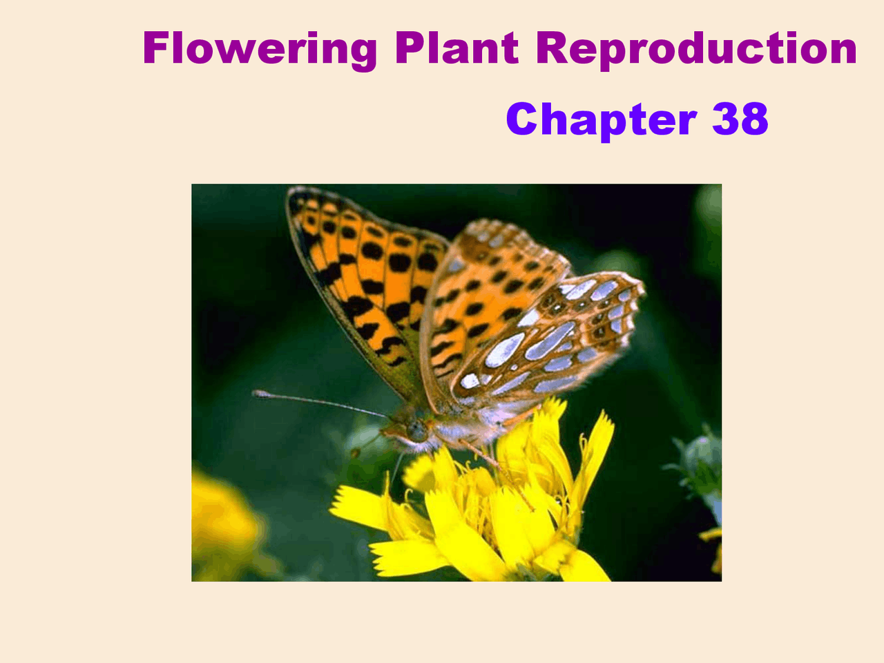 Flowering Plant Reproduction - Biology for Science Majors II - Lecture Slides - Docsity