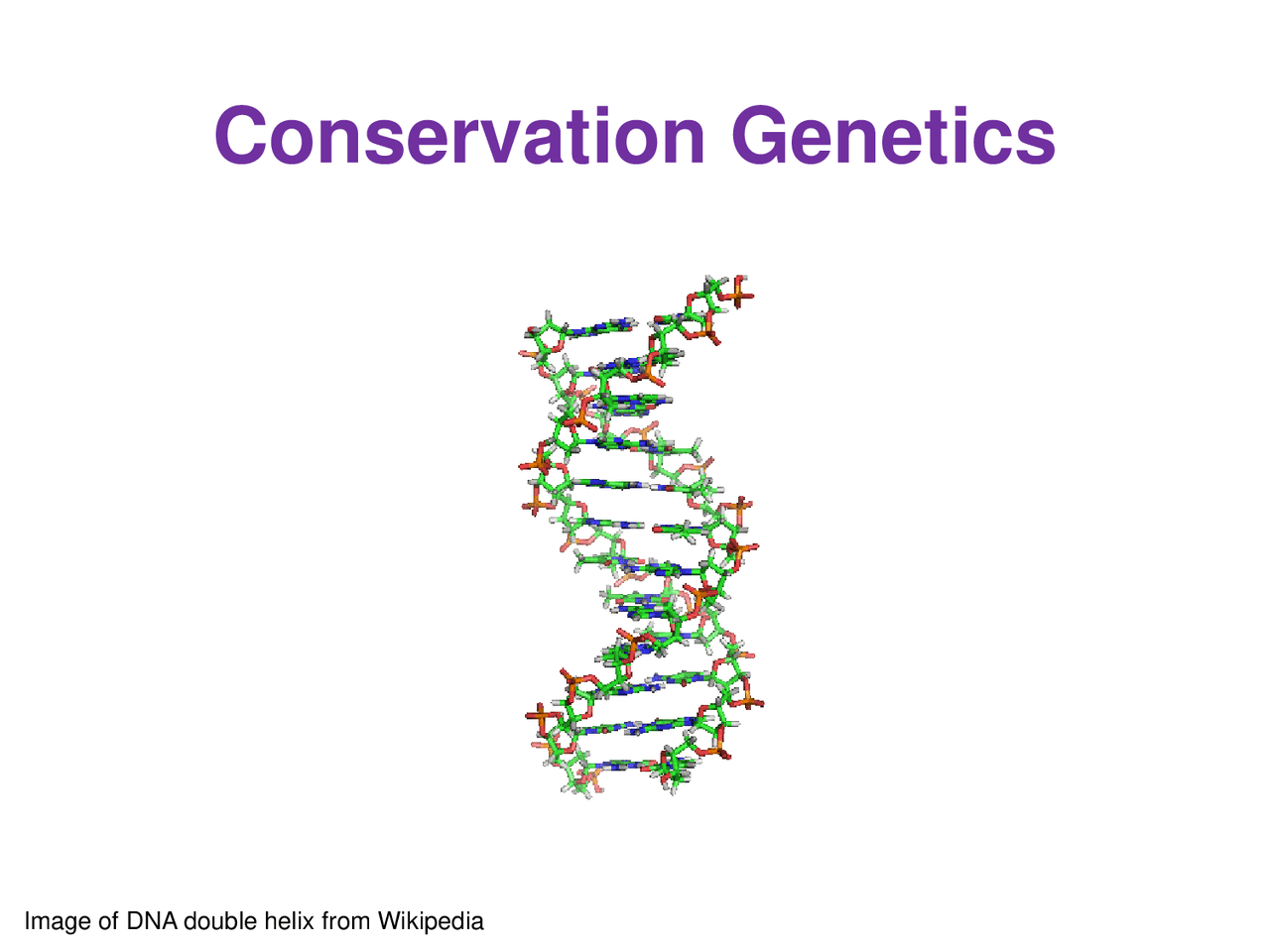 Conservation Genetics Conservation Biology Lecture Slides Docsity