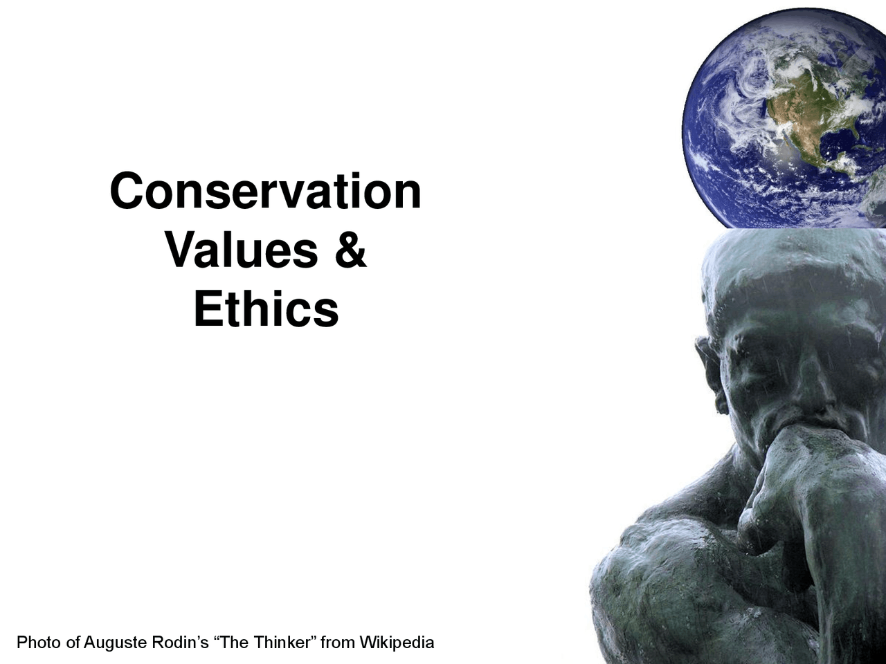Conservation Values And Ethics Conservation Biology Lecture Slides