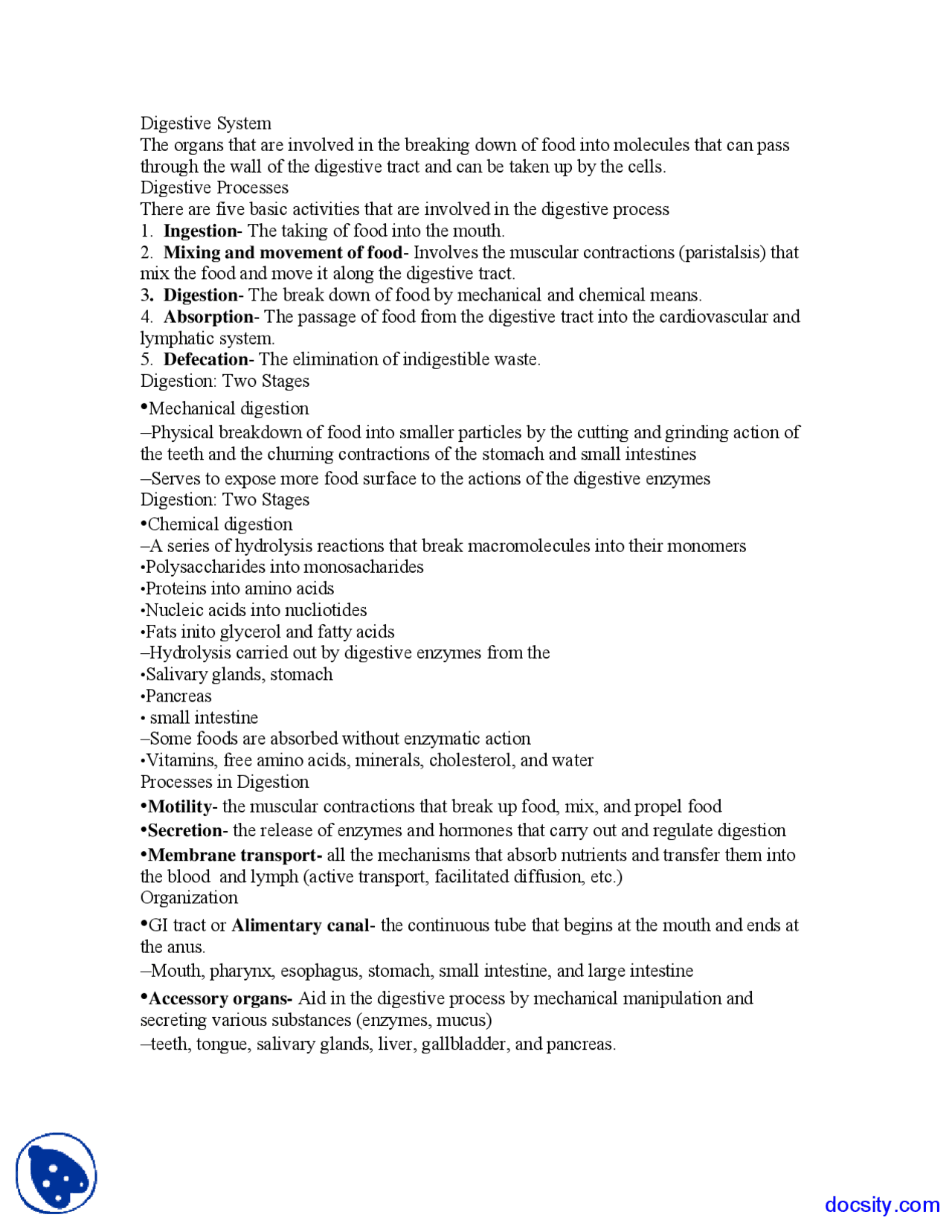 Digestive System Human Body Anatomy Lecture Notes Docsity