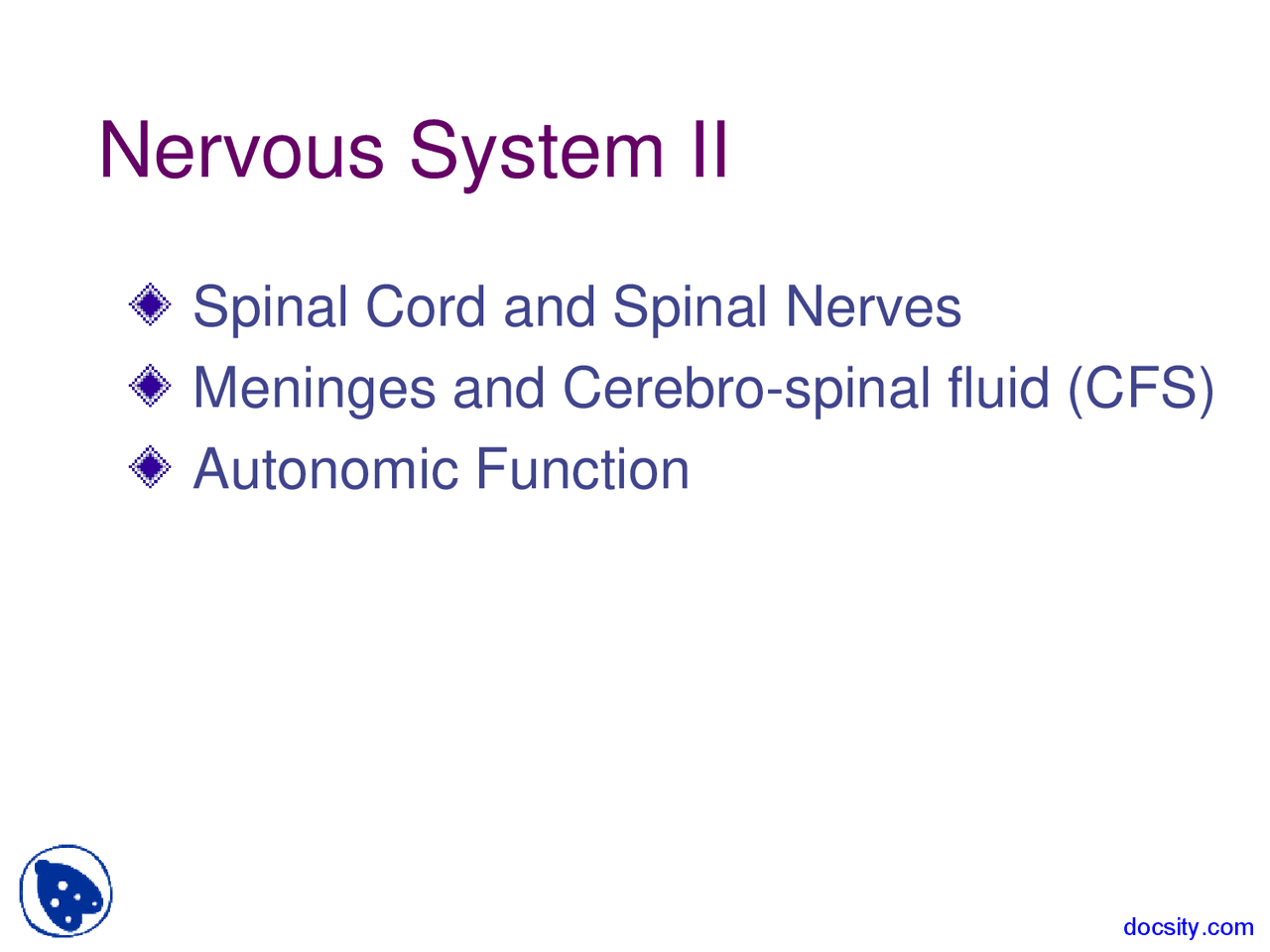 Nervous Basic Human Anatomy Lecture Slides Docsity