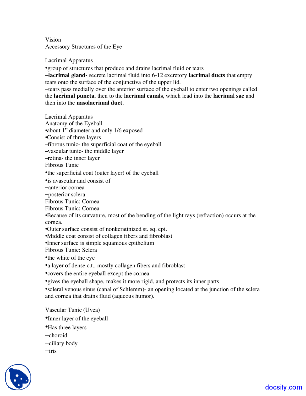 Vision Human Body Anatomy Lecture Notes Docsity