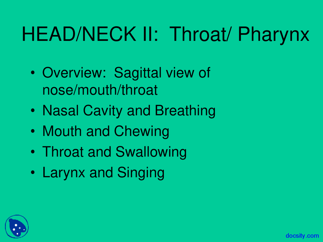 Pharynx - Basic Human Anatomy - Lecture Slides - Docsity