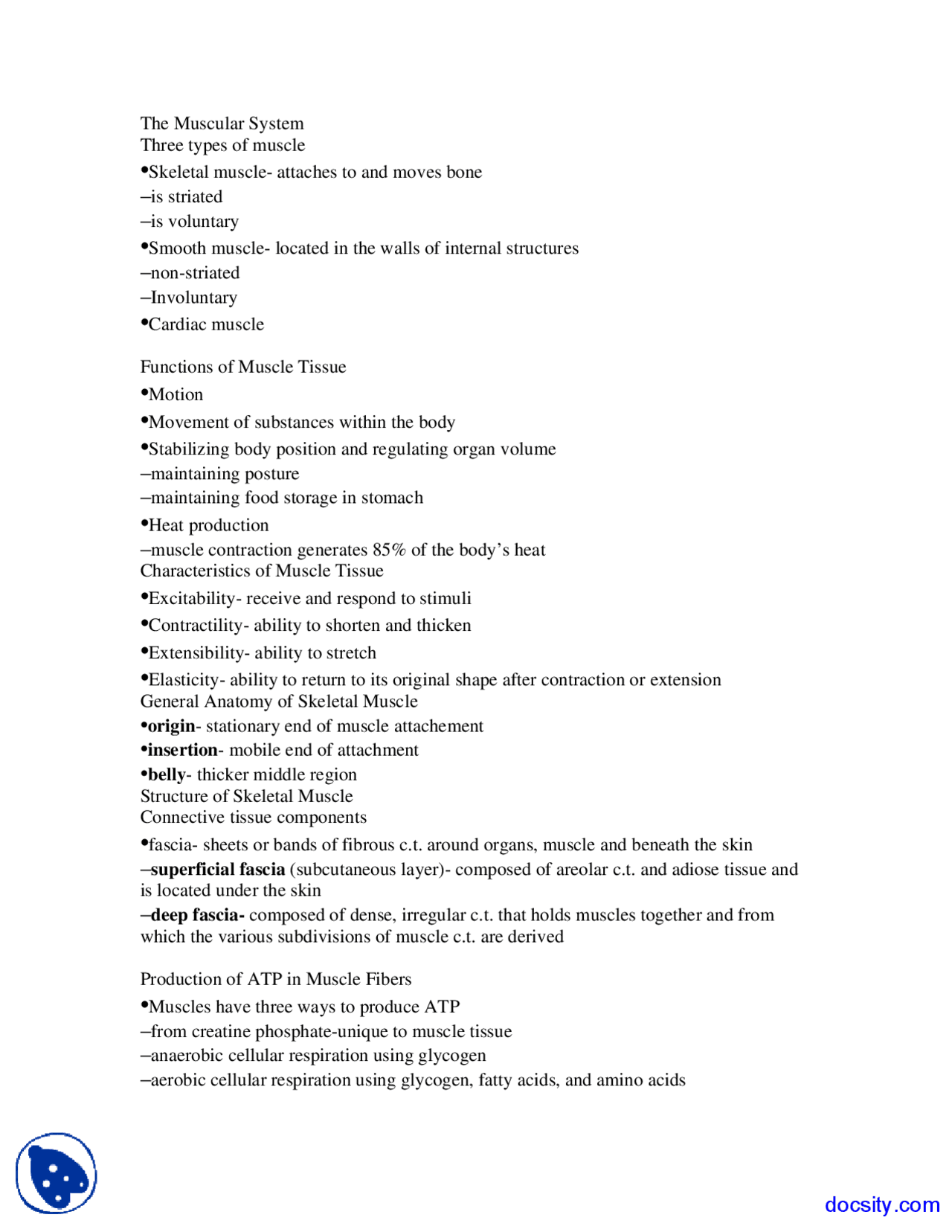 Muscular System - Human Body Anatomy - Lecture Notes | Study notes ...