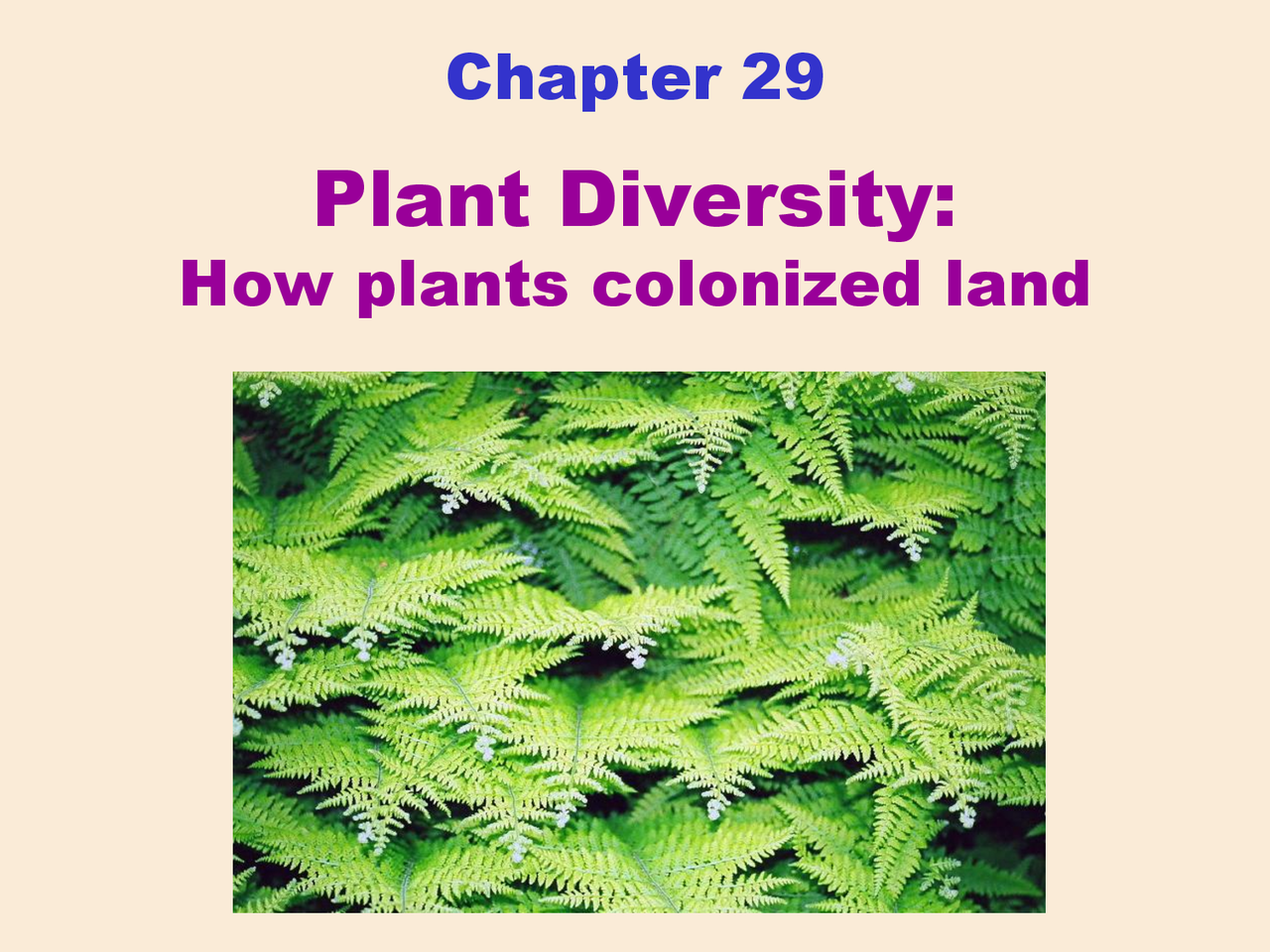 Plant Diversity - Biology for Science Majors II - Lecture Slides - Docsity