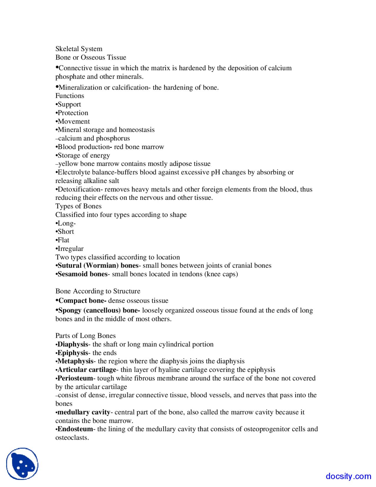 Skeletalsystem Human Body Anatomy Lecture Notes Docsity