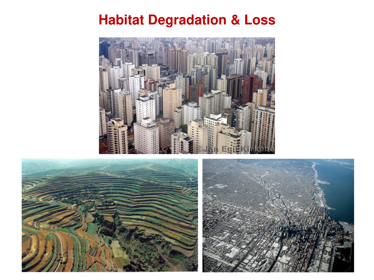 Habitat Degradation And Loss Conservation Biology Lecture Slides