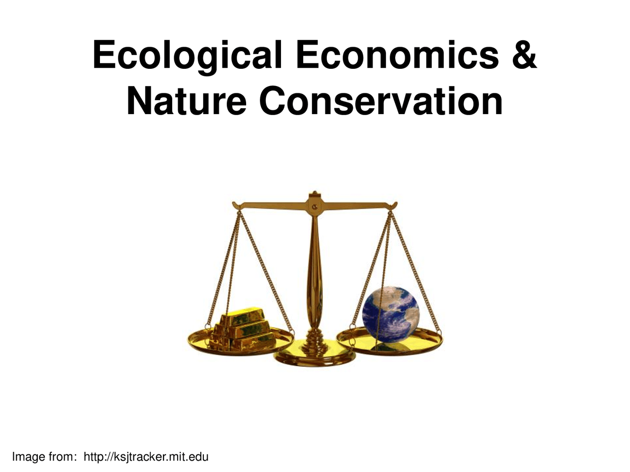 Ecological Economics - Conservation Biology - Lecture Slides - Docsity