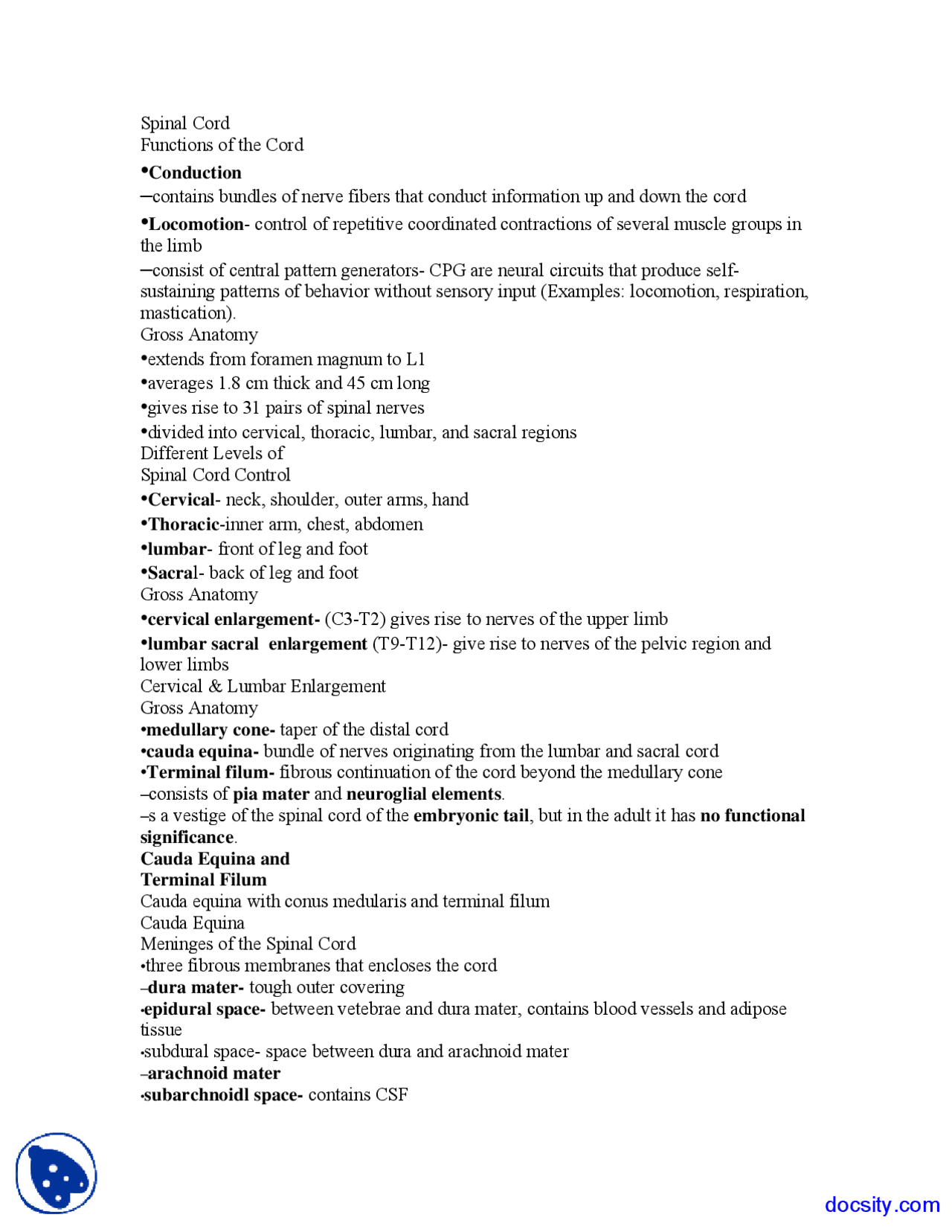 Spinal Cord - Human Body Anatomy - Lecture Notes - Docsity