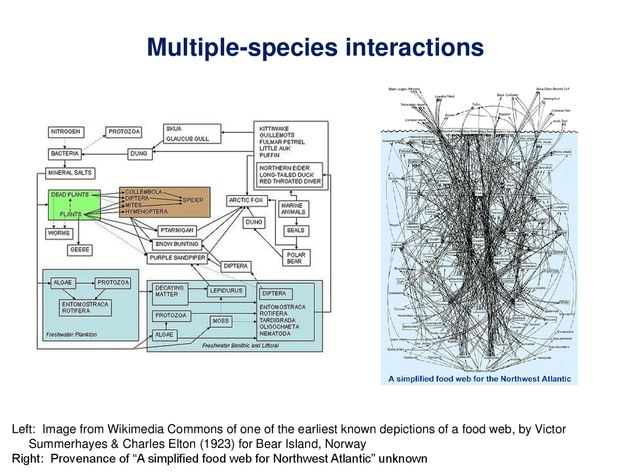 Multiple Species Interactions - Community Ecology - Lecture Slides - Docsity