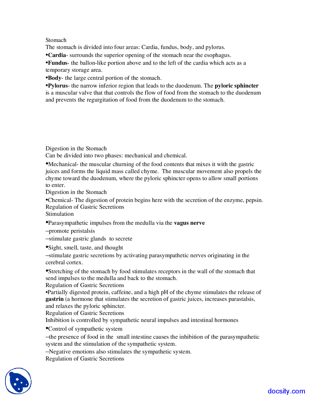 Digestive System, Stomach - Human Body Anatomy - Lecture Notes - Docsity