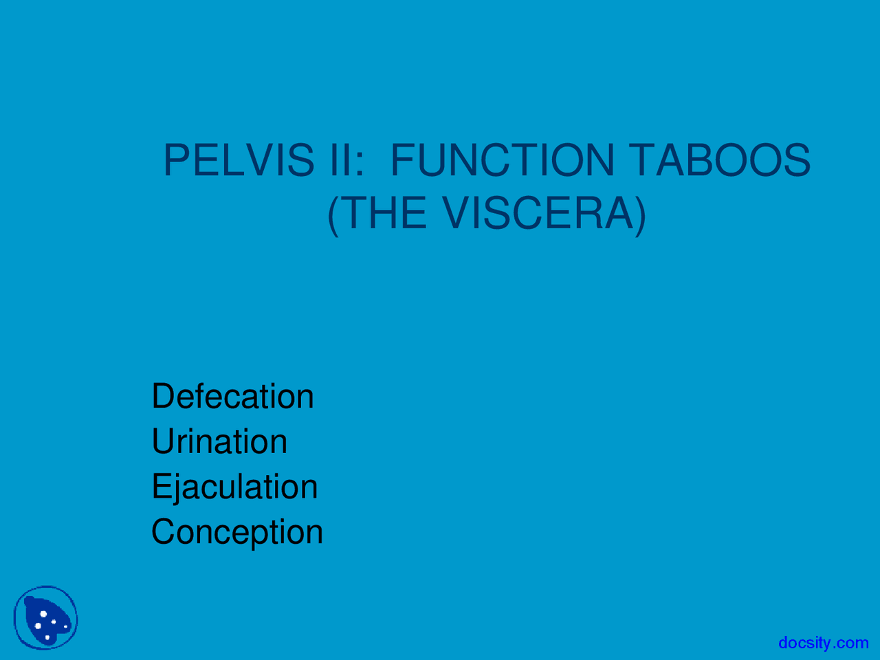 Functiona Taboos Basic Human Anatomy Lecture Slides Docsity