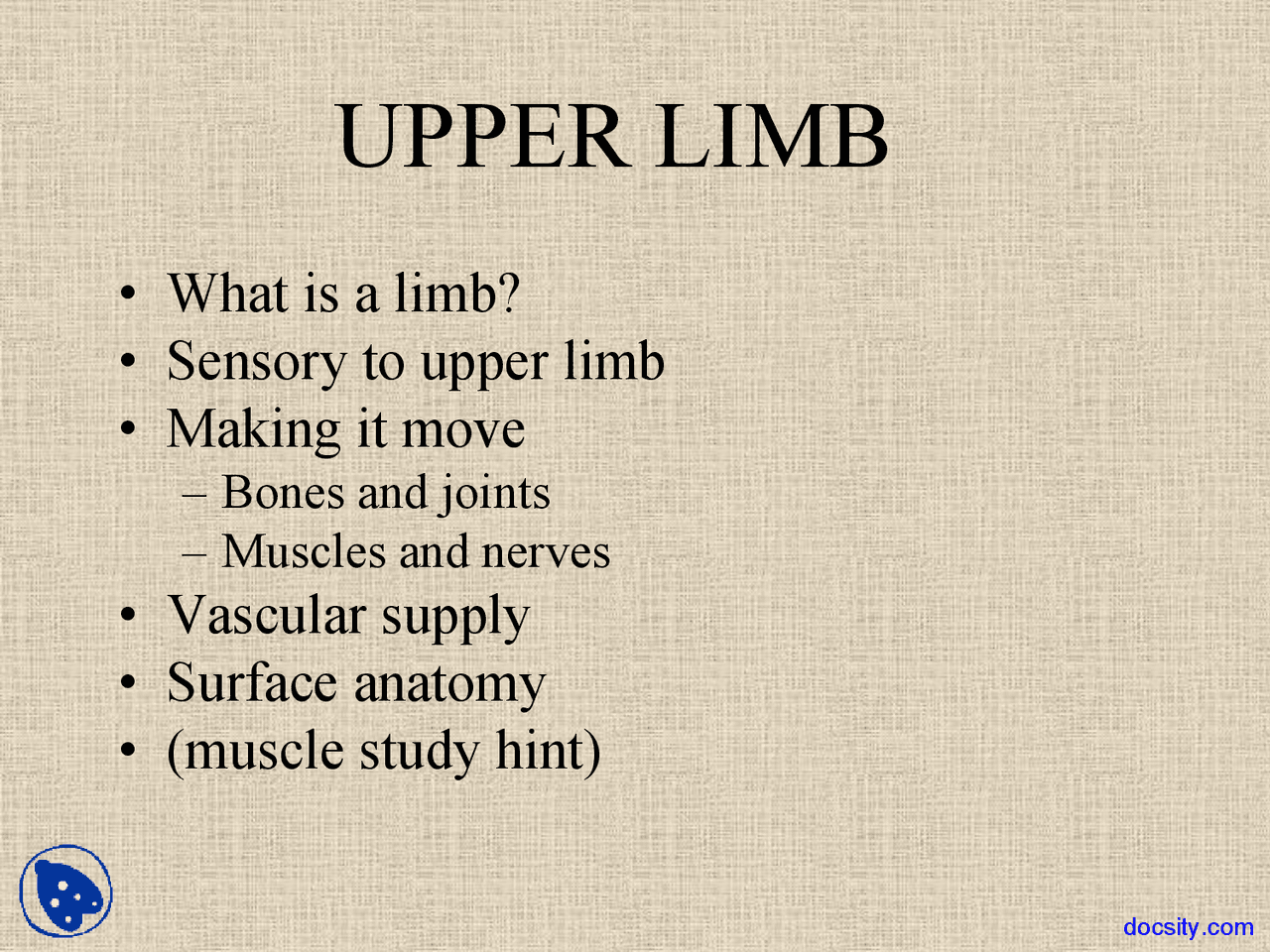 Upper Limb - Basic Human Anatomy - Lecture Slides | Slides Anatomy ...