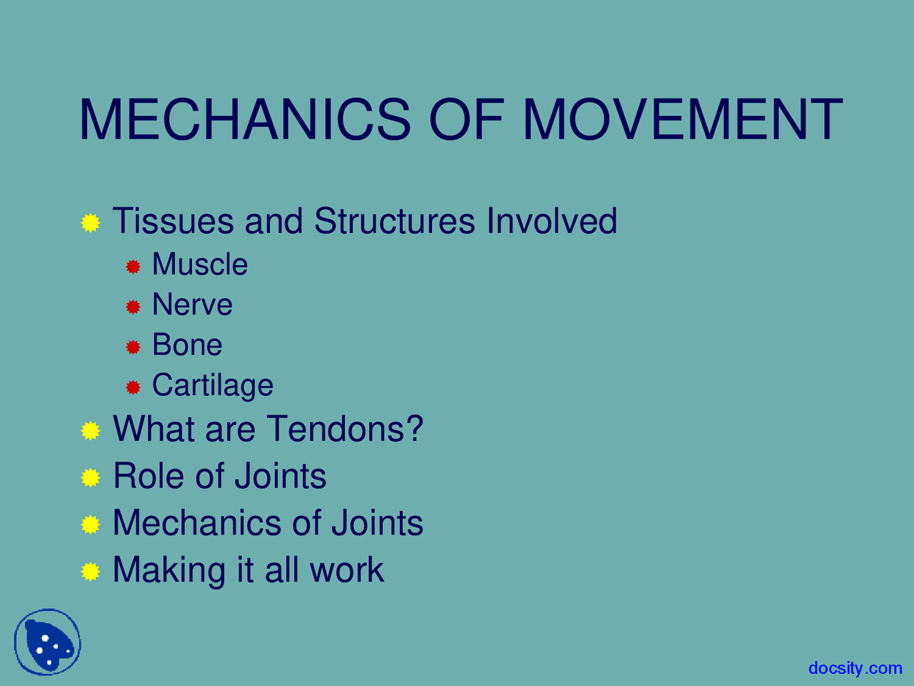 Mechanics of Movement, Joints - Basic Human Anatomy - Lecture Slides ...