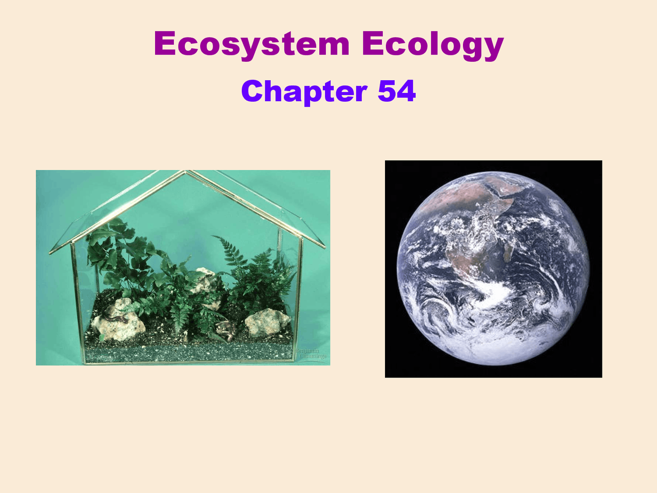 Ecosystems Biology For Science Majors Ii Lecture Slides Docsity