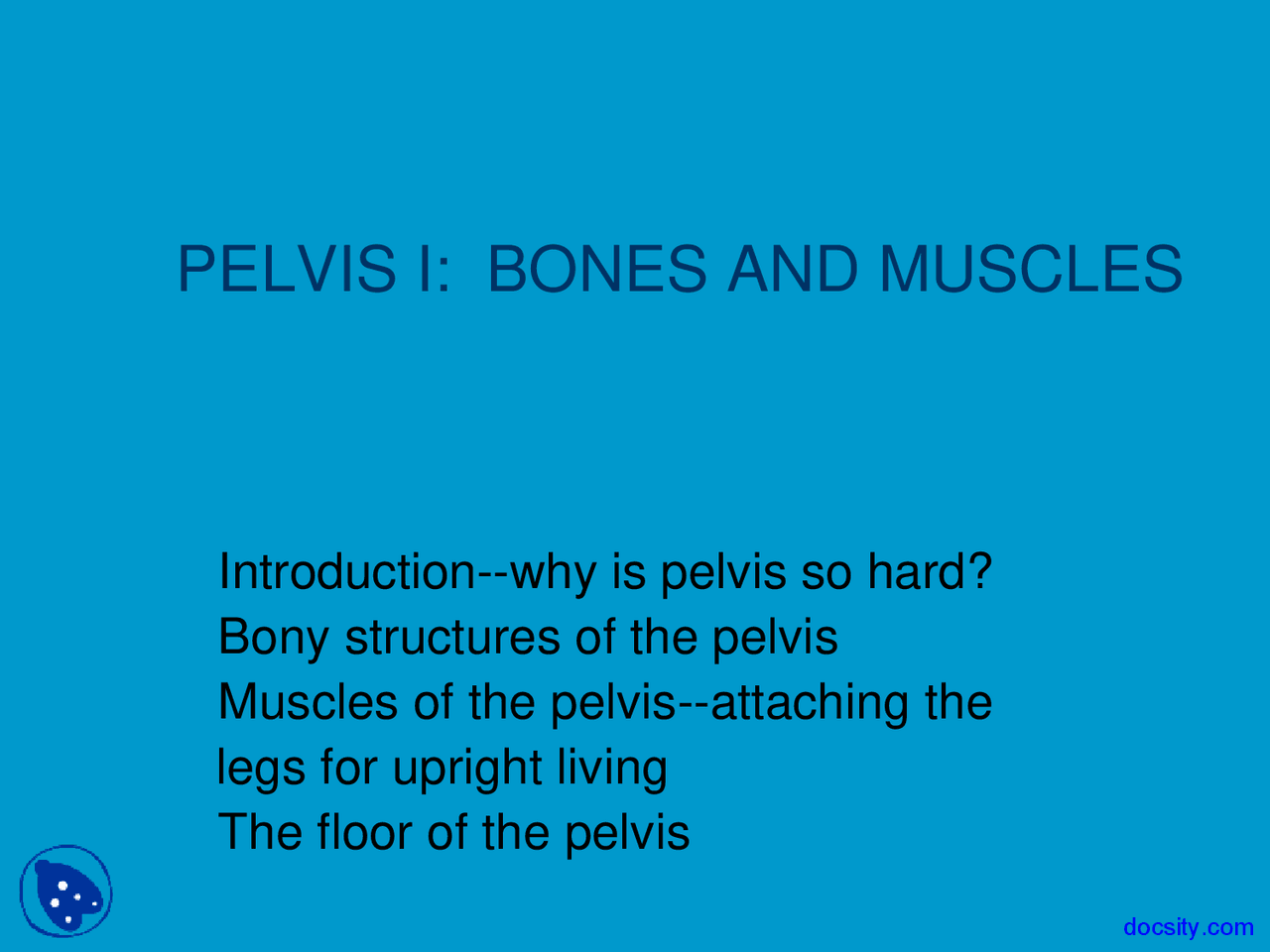 Bones And Muscles Basic Human Anatomy Lecture Slides Slides