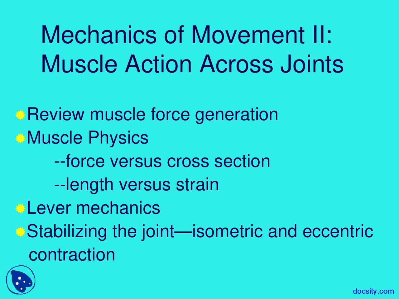 Mechanics of Movement - Basic Human Anatomy - Lecture Slides - Docsity