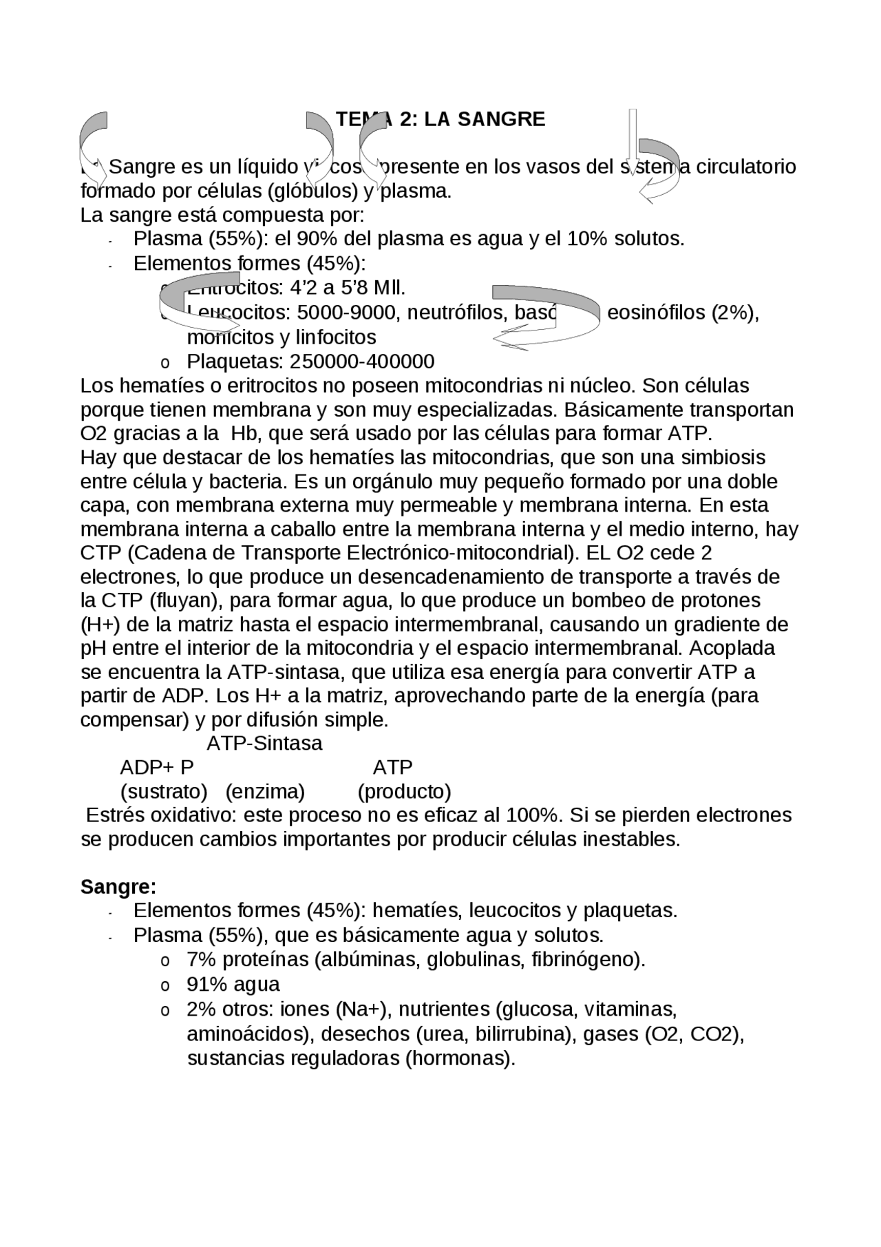 Apuntes Sobre La Sangre Parte1 Docsity