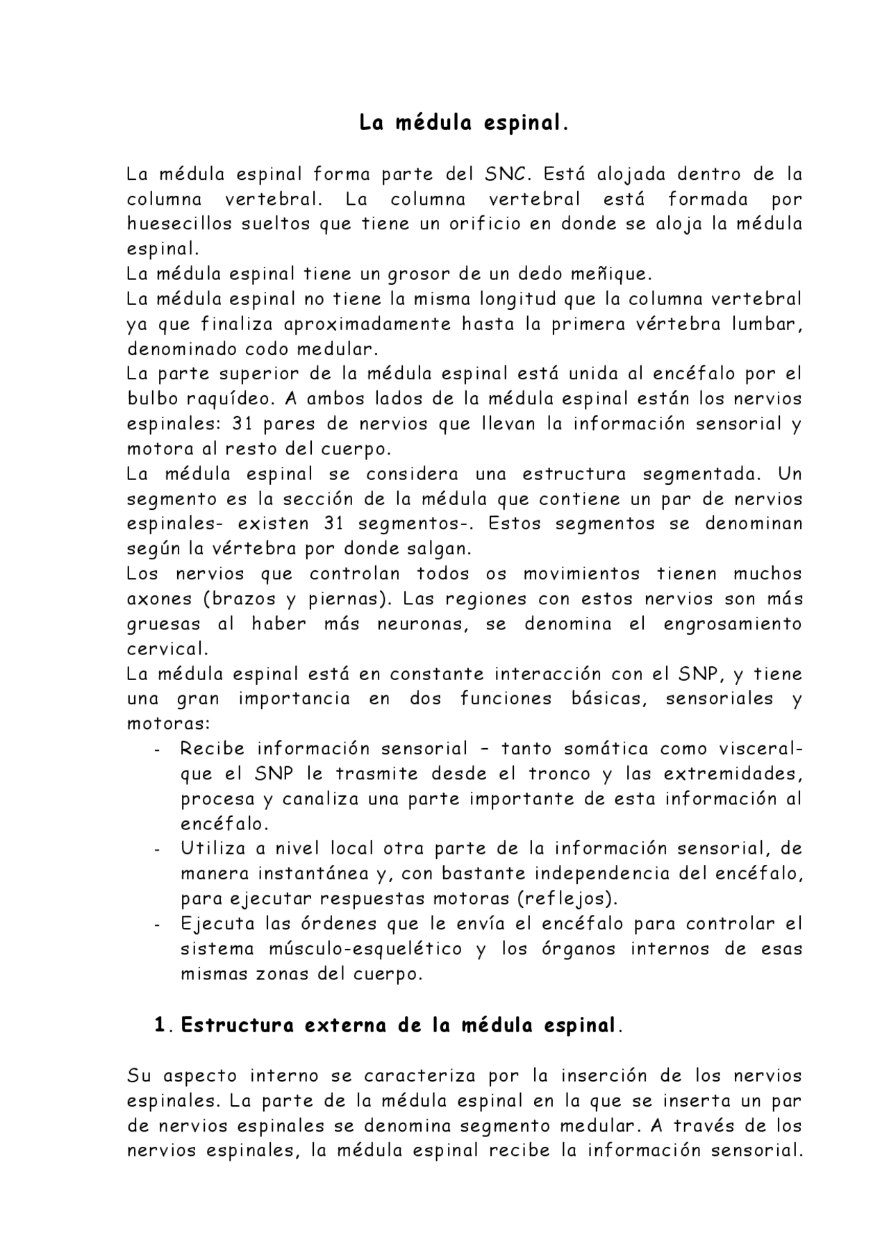 Apuntes Sobre La Médula Espinal Parte1 Docsity