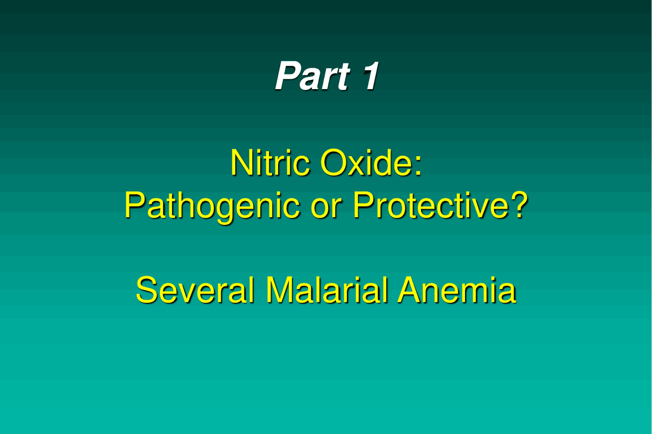 Nitric Oxide Health Lecture Slides Docsity