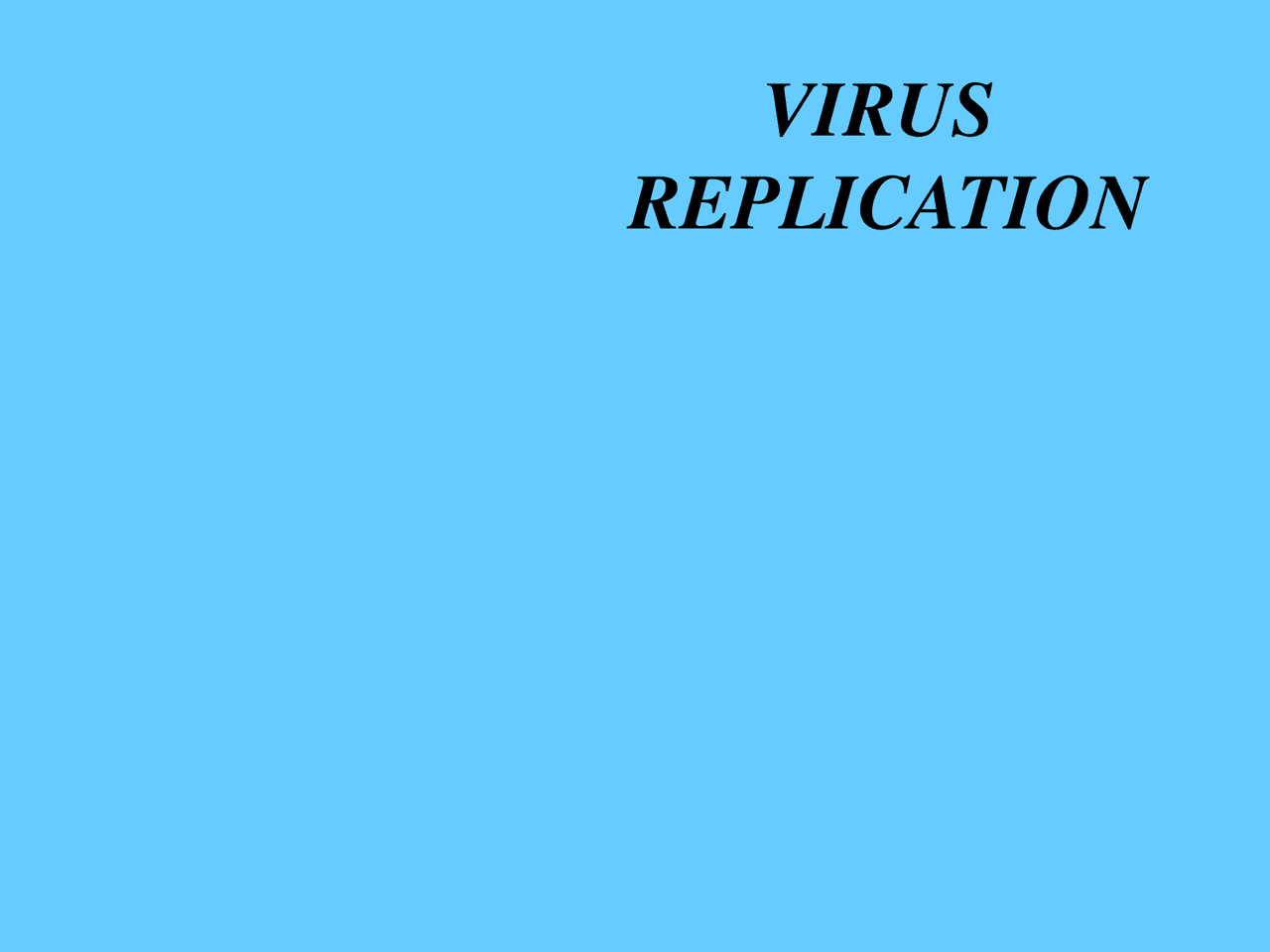 Viruses Grow Health Lecture Slides Docsity