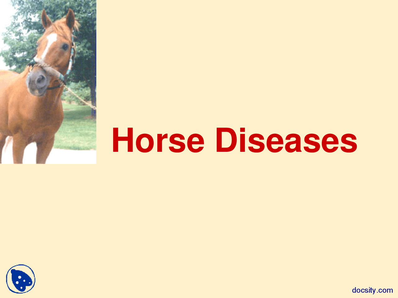 Horse Diseases - Health - Lecture Slides - Docsity