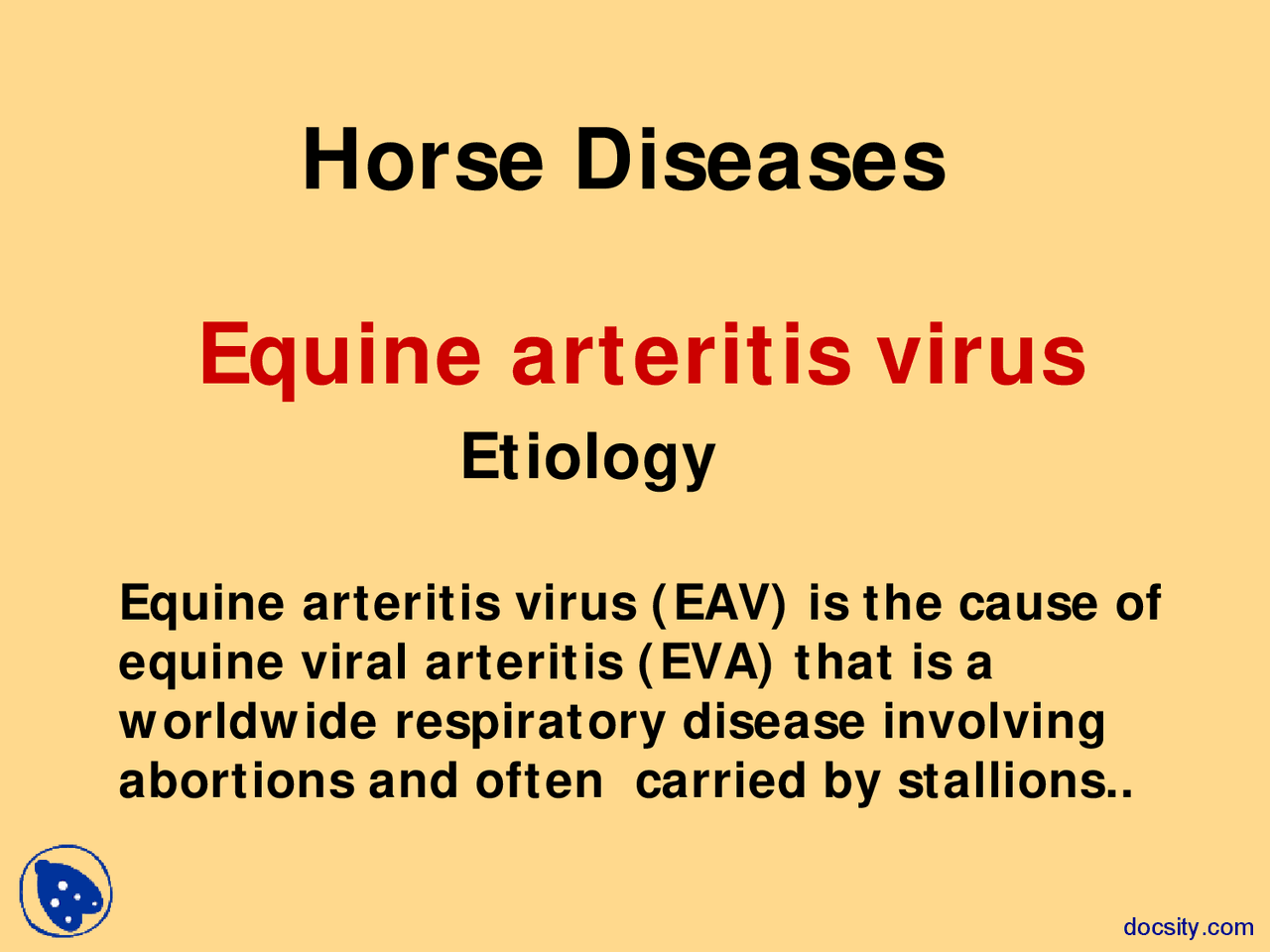 Equine Arteritis Virus - Health - Lecture Slides - Docsity