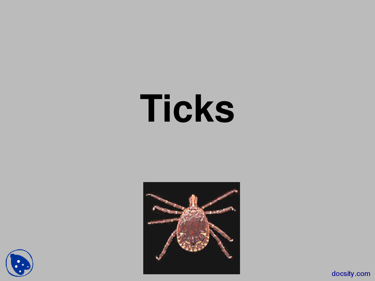 Ticks - Health - Lecture Slides - Docsity