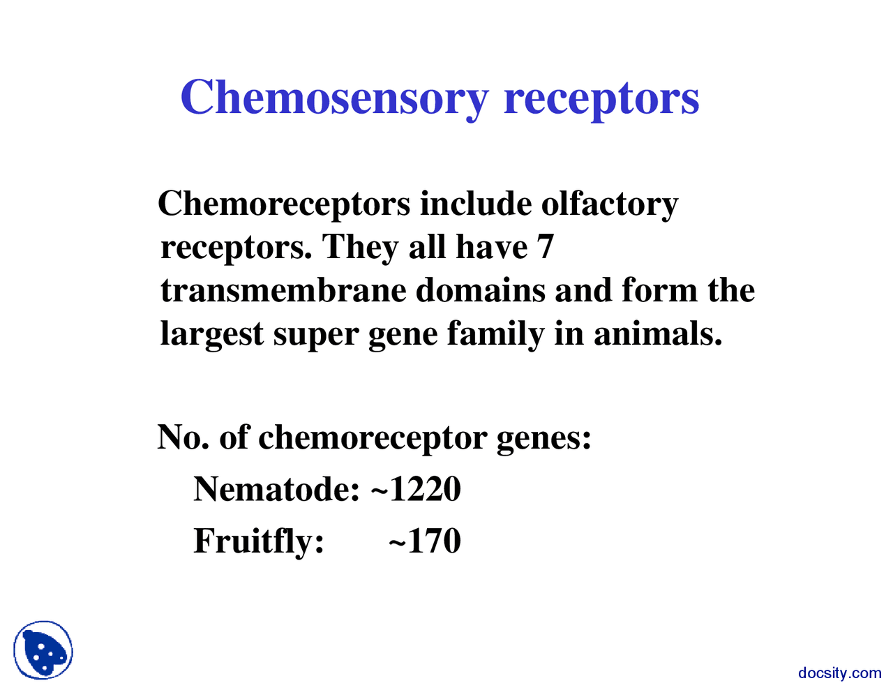 Chemosensory Receptors - Health - Lecture Slides - Docsity