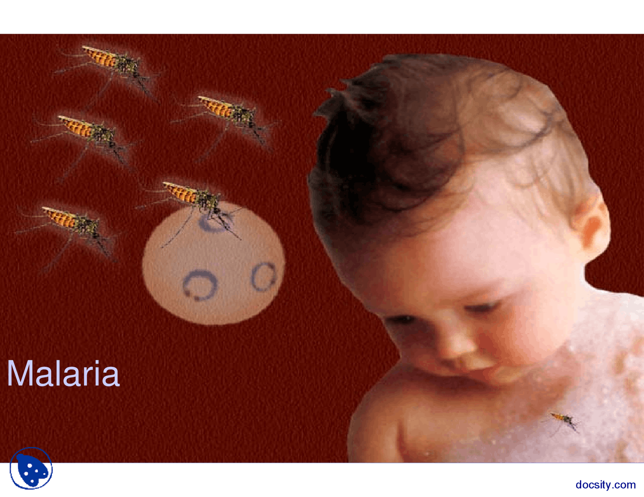 Malaria Health Lecture Slides Docsity