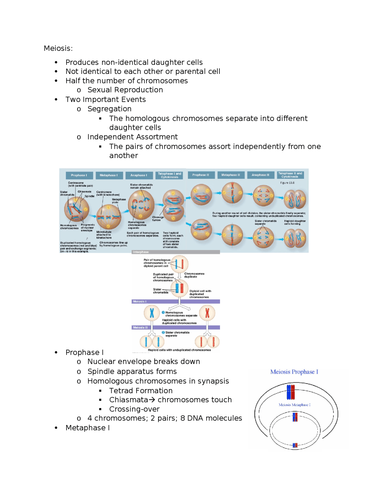 An Introduction to the Meiosis in the Sexual Reproduction | BIOL 1201 ...