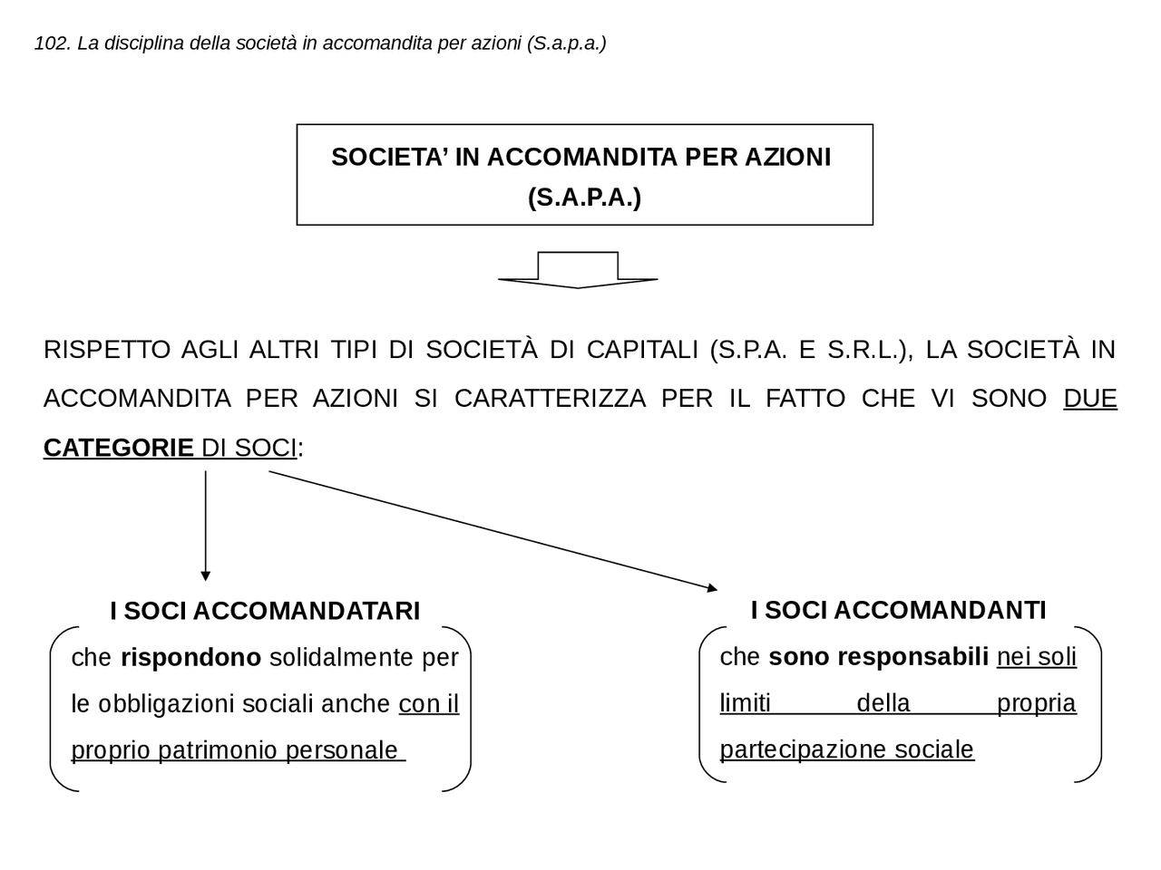 85 La Societa In Accomandita Per Azioni Docsity