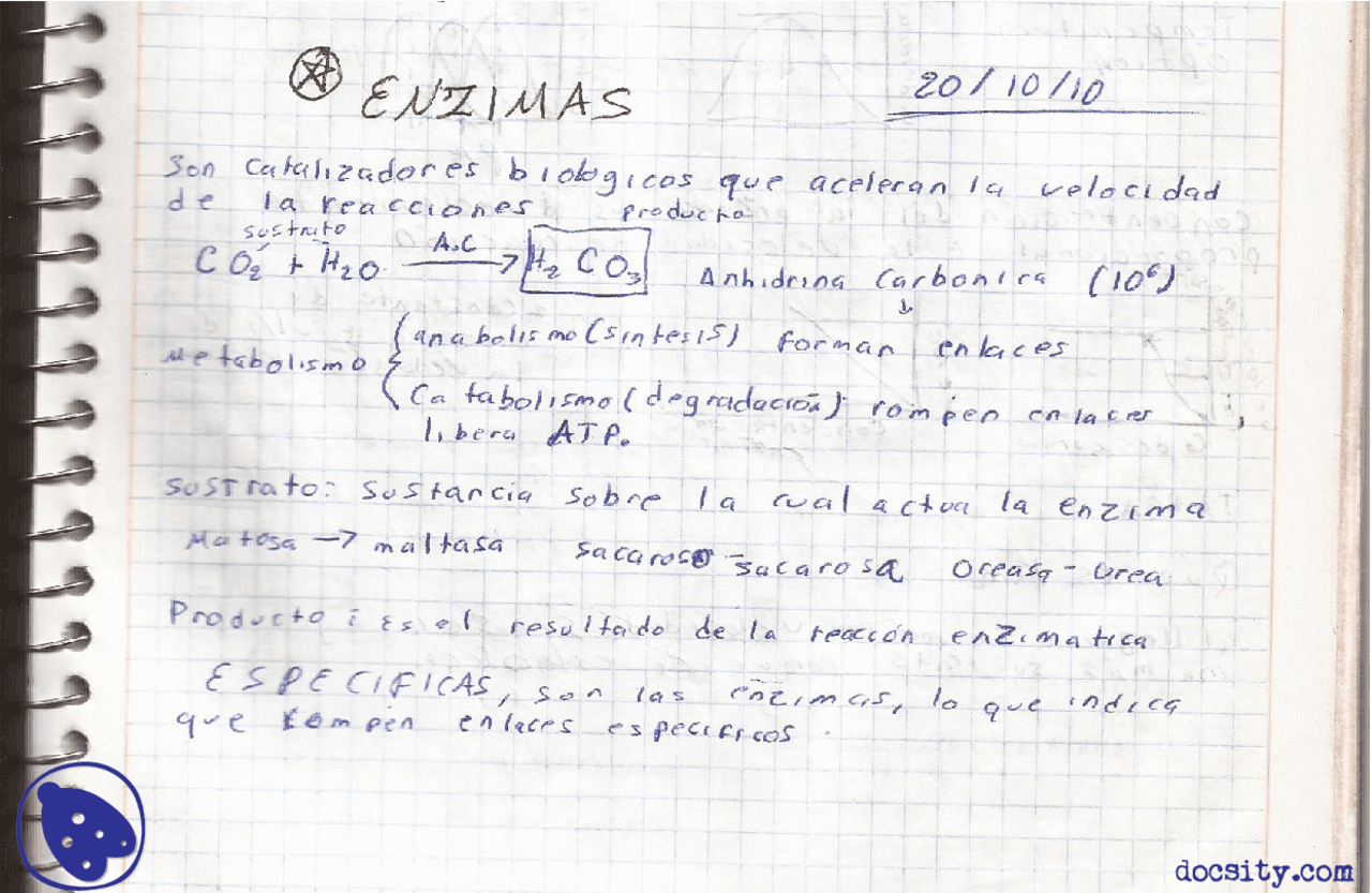 Apuntes Sobre Las Enzimas 2 Docsity