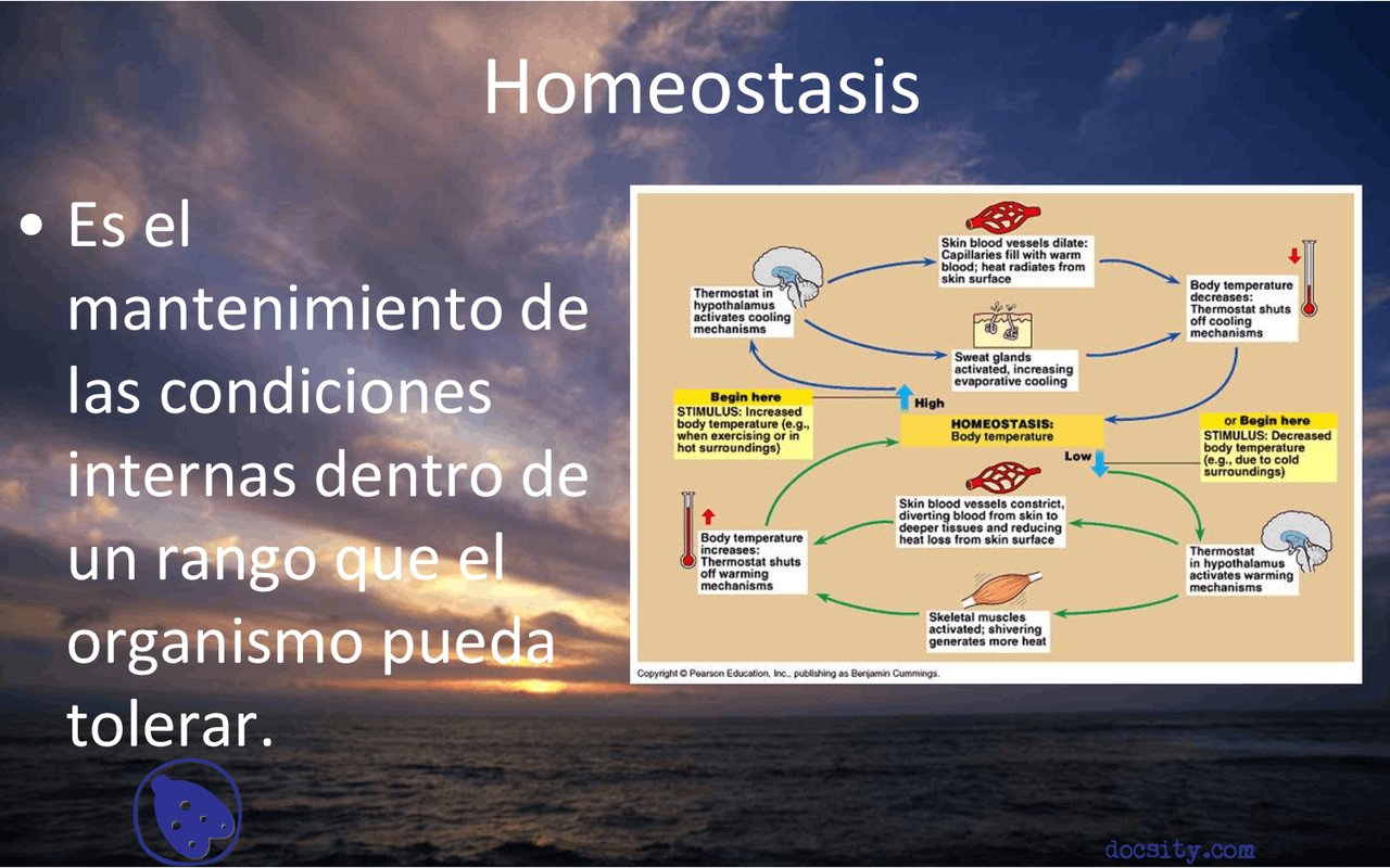 Apuntes sobre Organismos y Ambiente Parte2 - Docsity