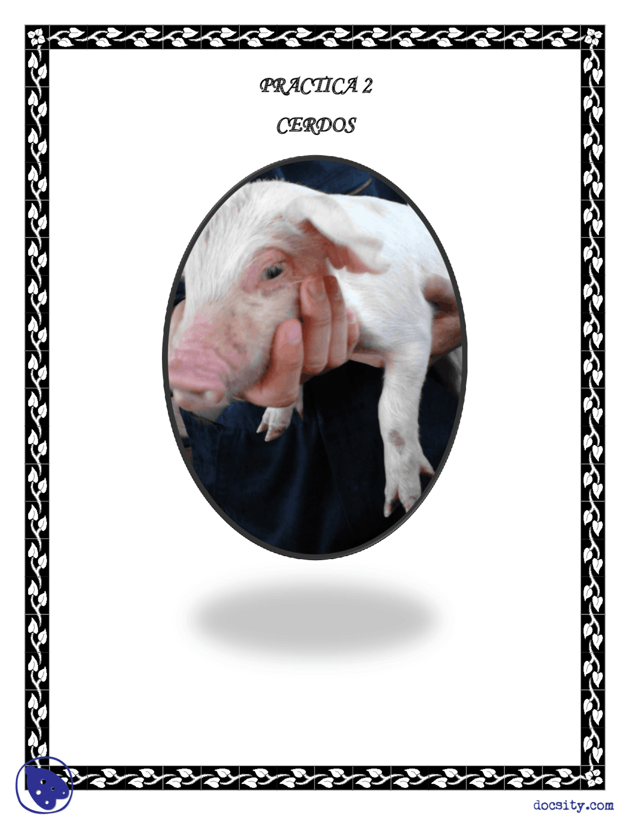 Apuntes sobre los Cerdos - Docsity