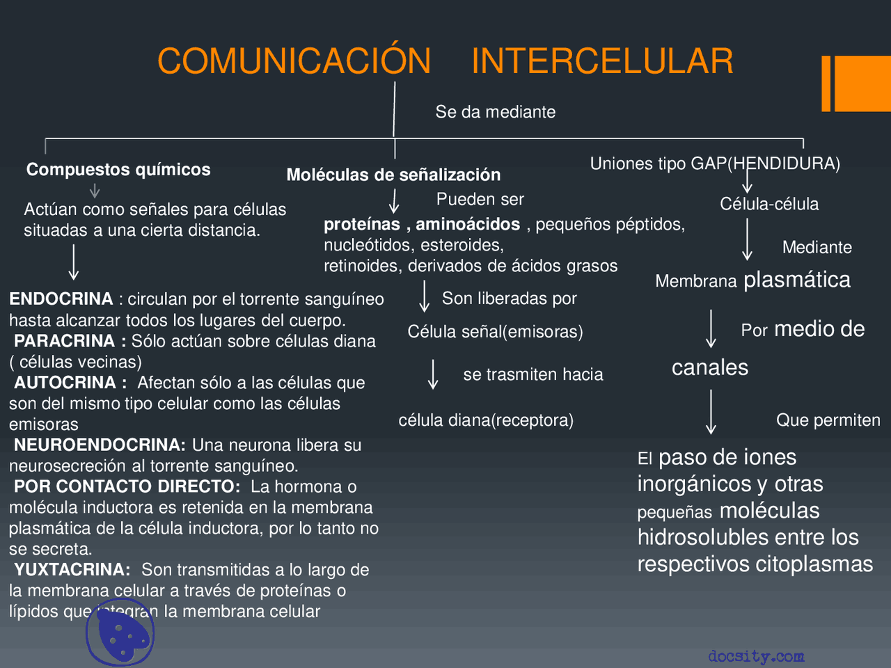 Apuntes sobre Comunicación Intercelular y Comunicación Intracelular ...