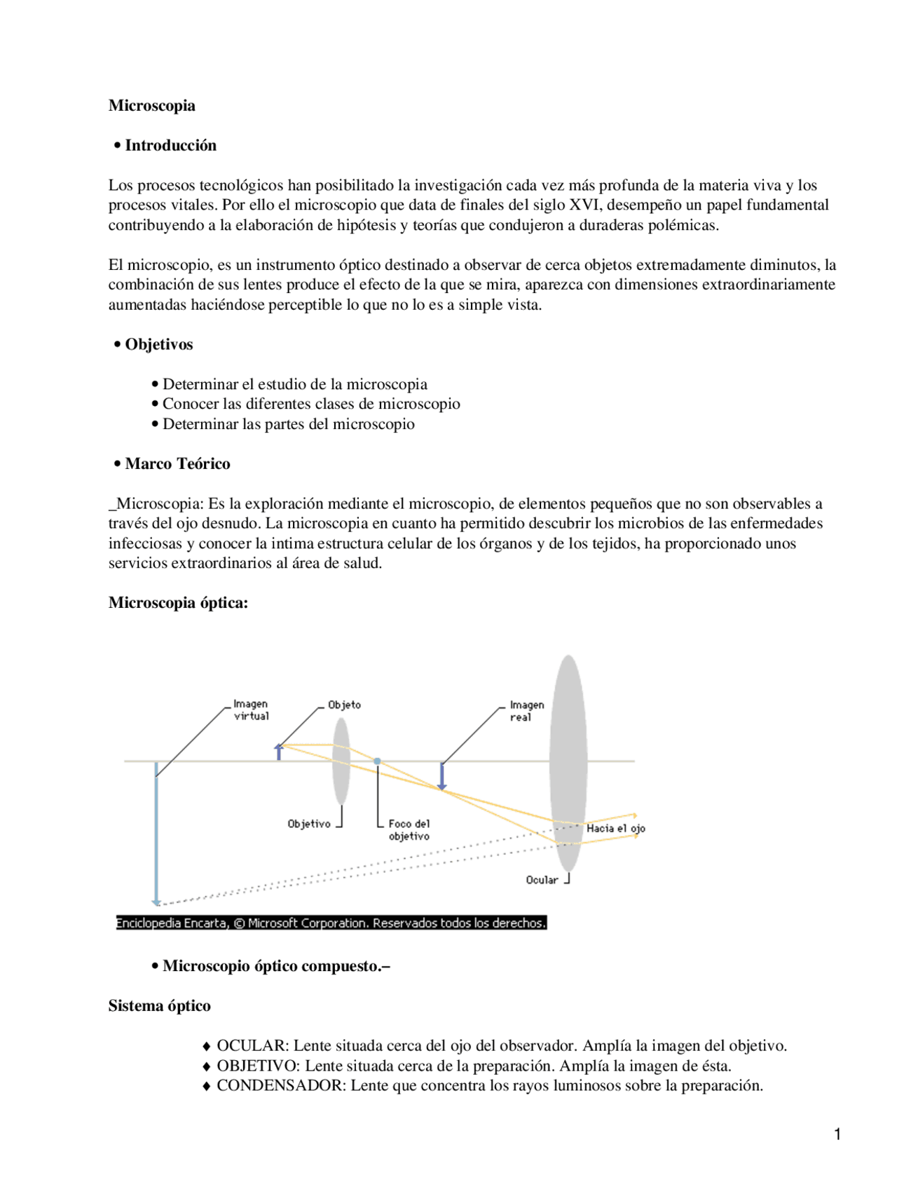 Apuntes Sobre La Microscopia Docsity
