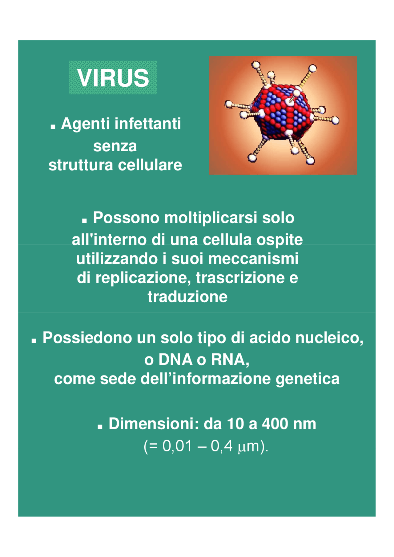 I Virus E Le Varie Tipologie Di Virus Patogeni Docsity