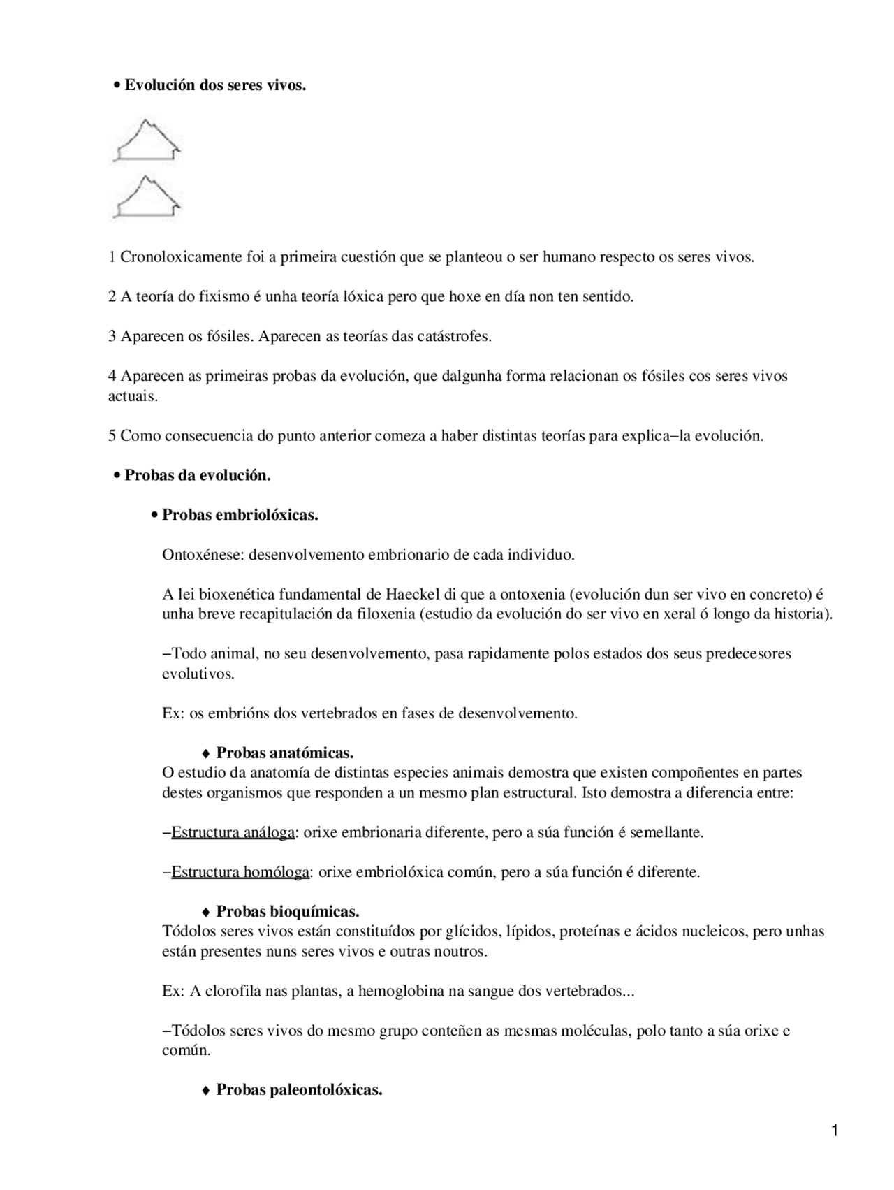 Apuntes Sobre La Evolución De Los Seres Vivos Docsity